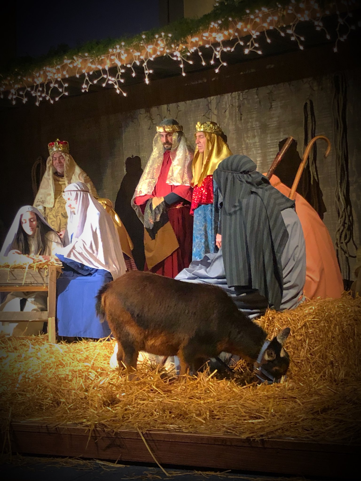 Cockrill's Christmas Critters 2019 - cockrillscountrycritters.com