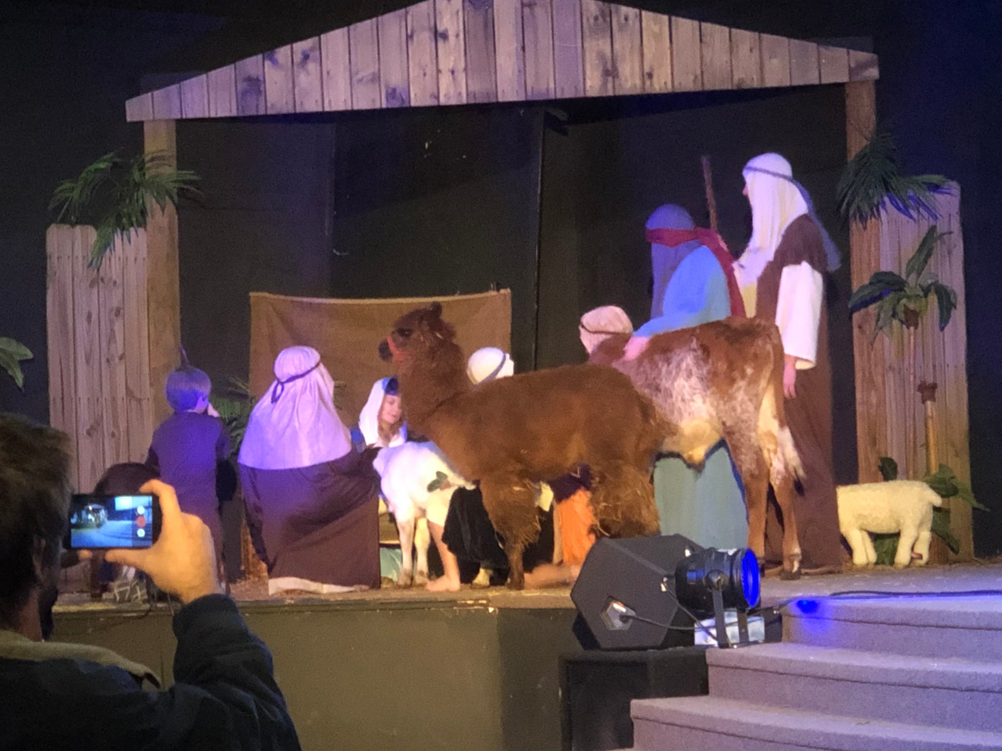 Cockrill's Christmas Critters 2019 - cockrillscountrycritters.com
